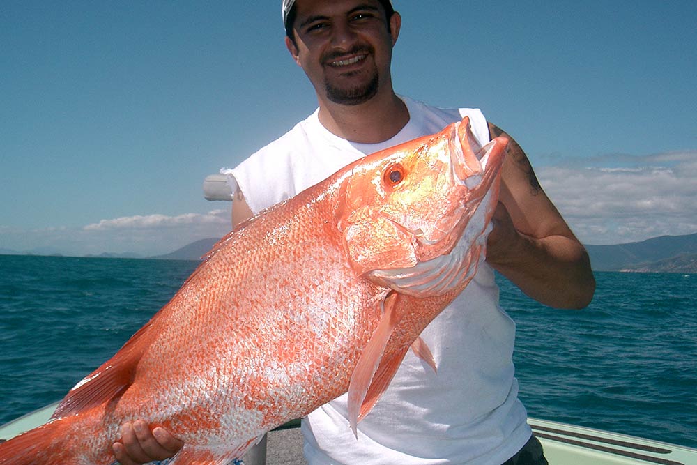 Bottom Fishing - Port Douglas Reef Charters