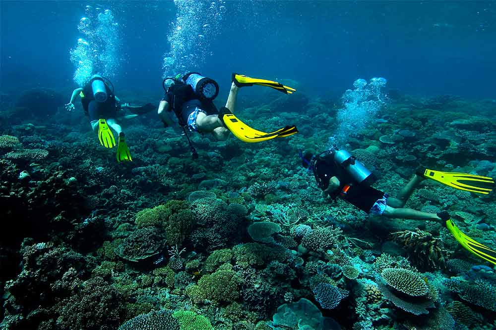 Private Charter Scuba Diving - Port Douglas Reef Charters